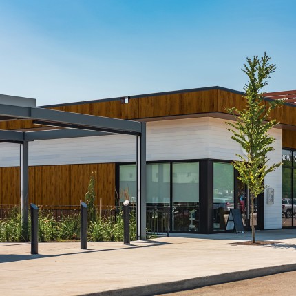 823 KNOTTY WOOD || FLEXIBOND DECORATIVES LLP