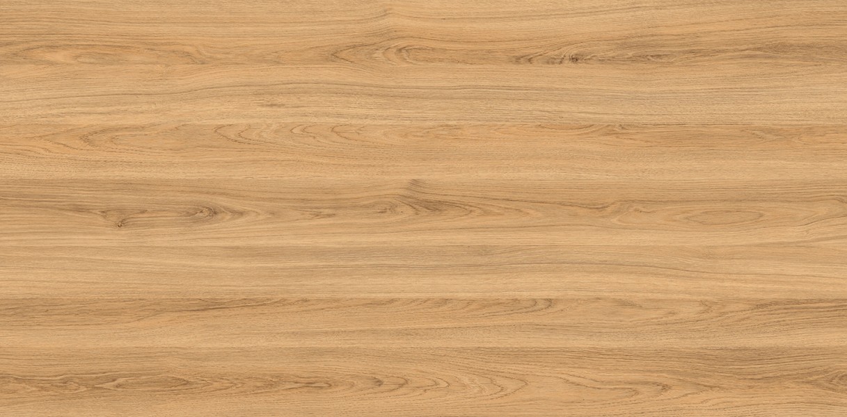 446 SEVILLA OAK || TIMEXMICA