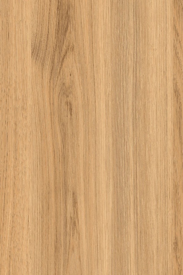 446 SEVILLA OAK || TIMEXMICA